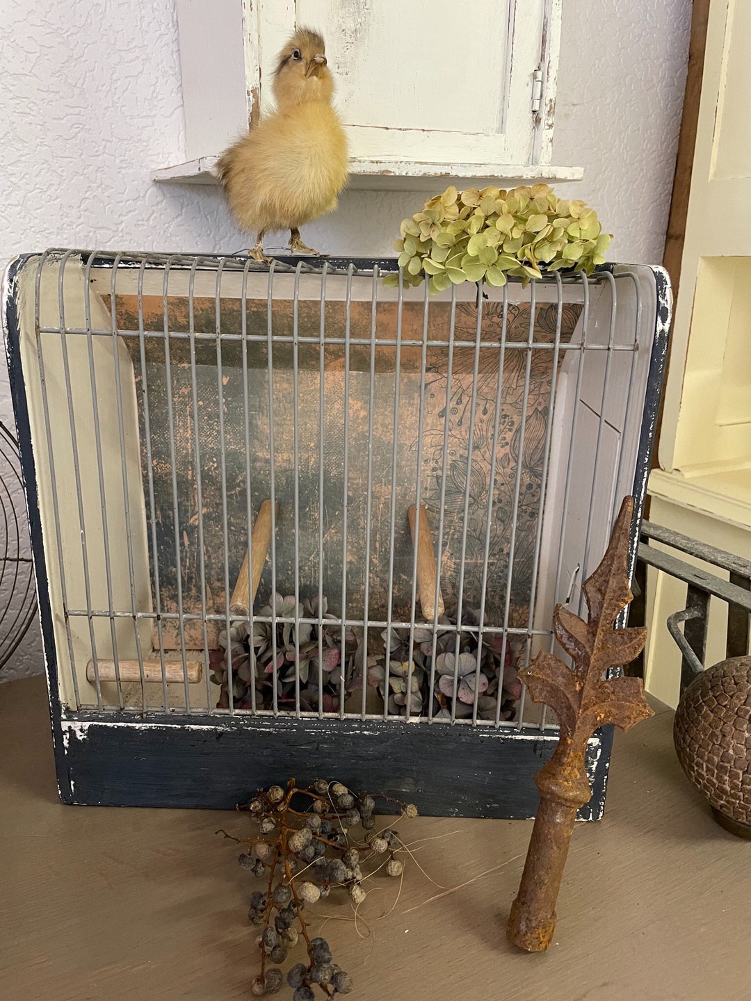 Ancient Bird Cage, France, Shabby, Vintage - Etsy