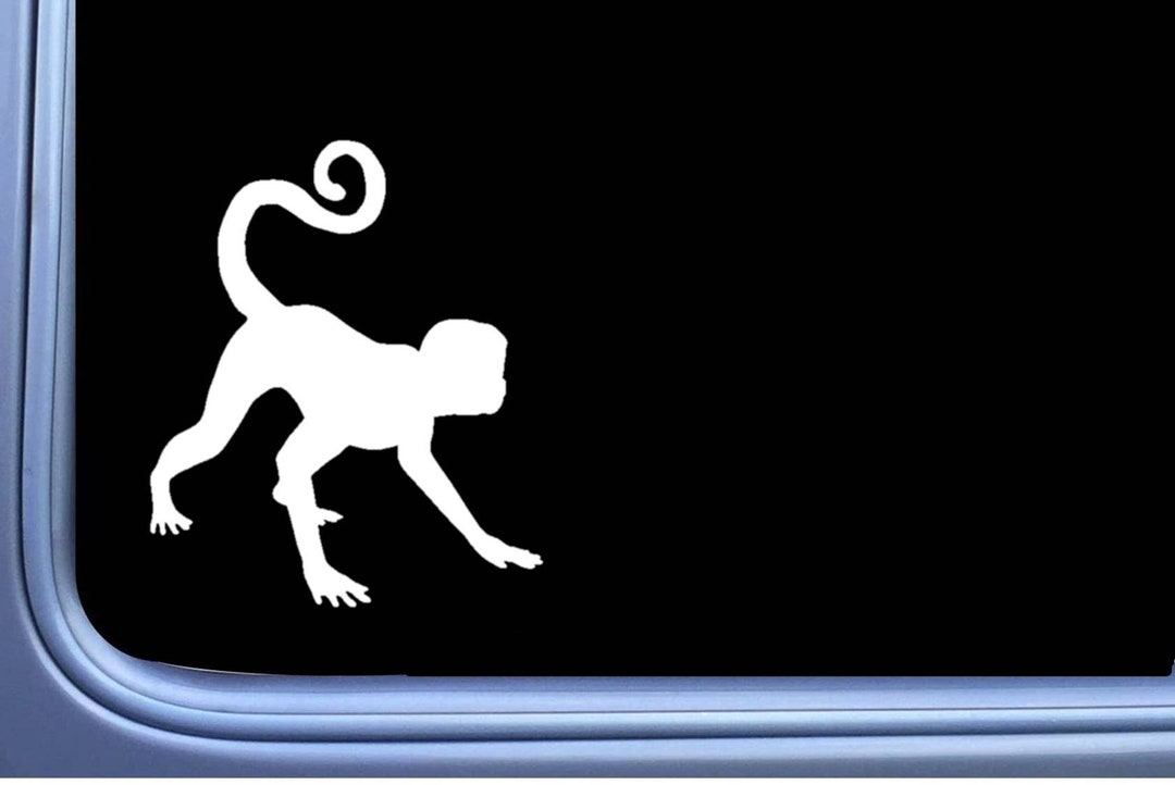 Spider Monkey Os 442 Vinyl Decal Sticker Capuchin - Etsy