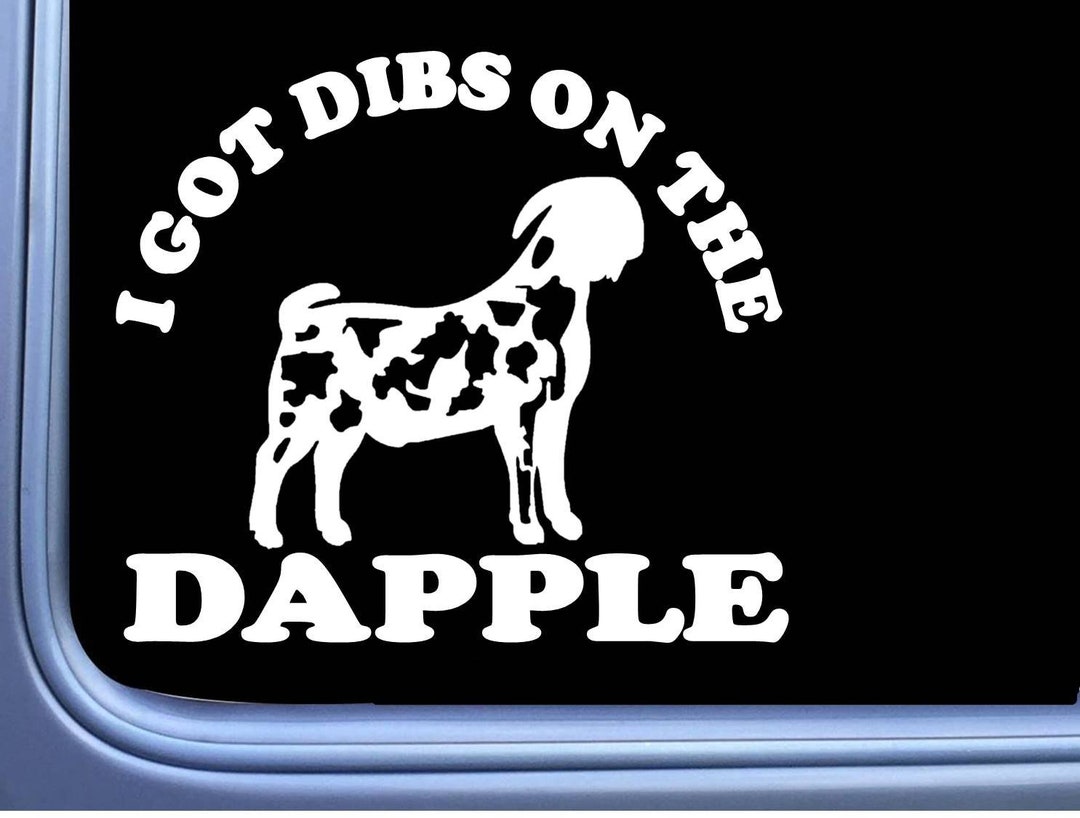 Dapple Boer Goat Dibs Sticker OS 179 Window Decal - Etsy