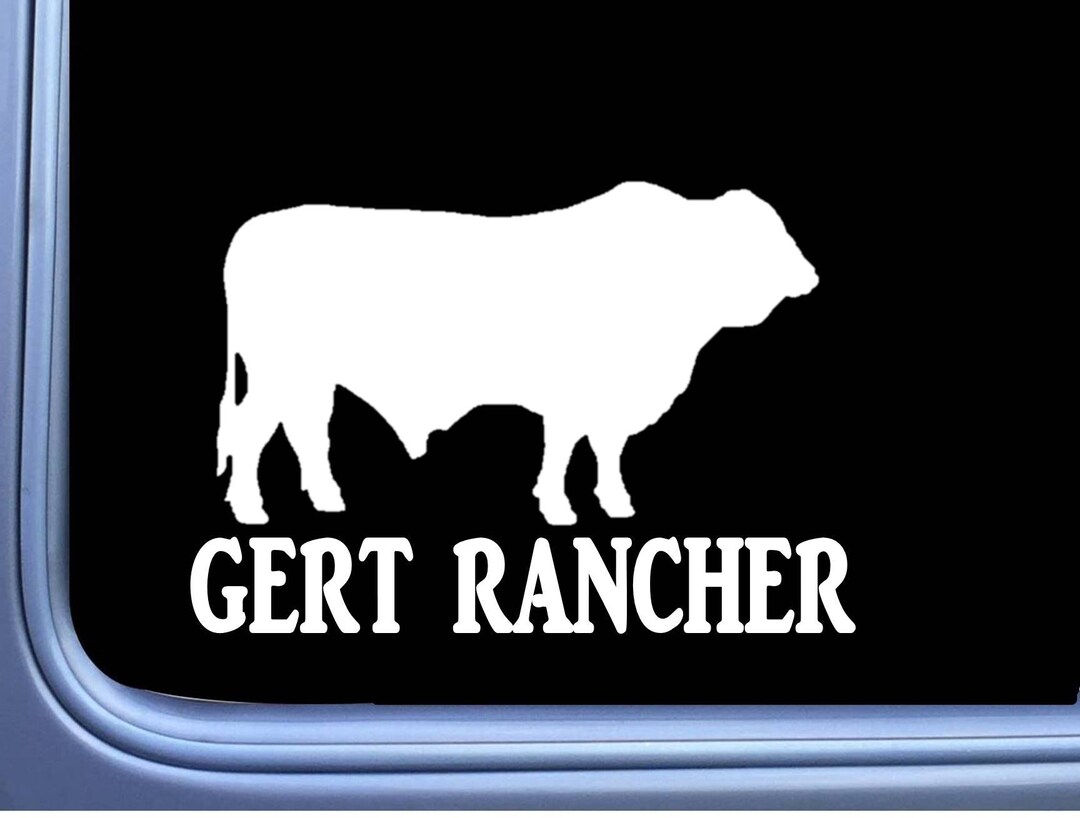 Santa Gertrudis Rancher Bull Decal Sticker OS 248 Cattle Cow - Etsy
