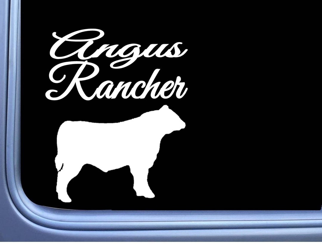 Angus Rancher Bull Decal Sticker OS 270 Cattle Cow Aberdeen Beef - Etsy