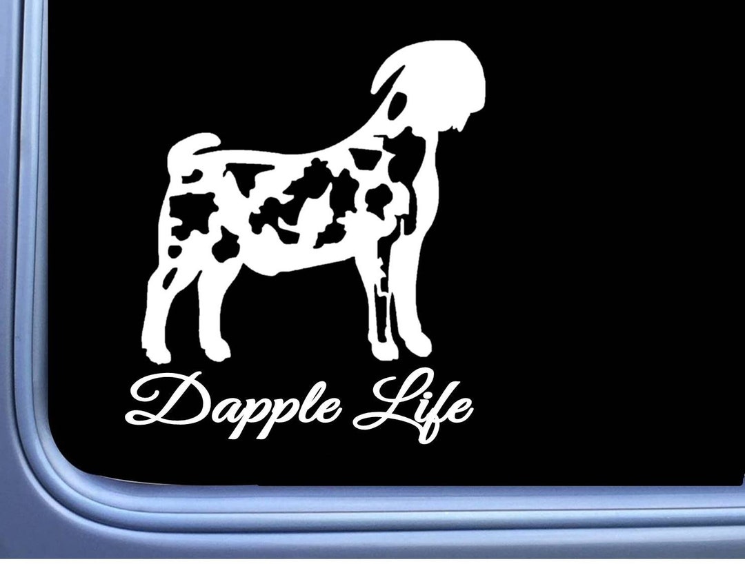 Dapple Boer Goat Life Sticker OS 177 Window Decal - Etsy