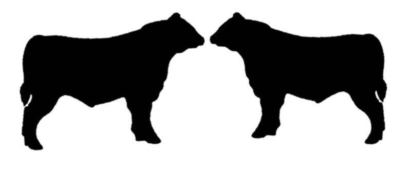 Bull Decals Stickers OS 155 (2 Decal Set) Angus Hereford Cattle Cow - Etsy