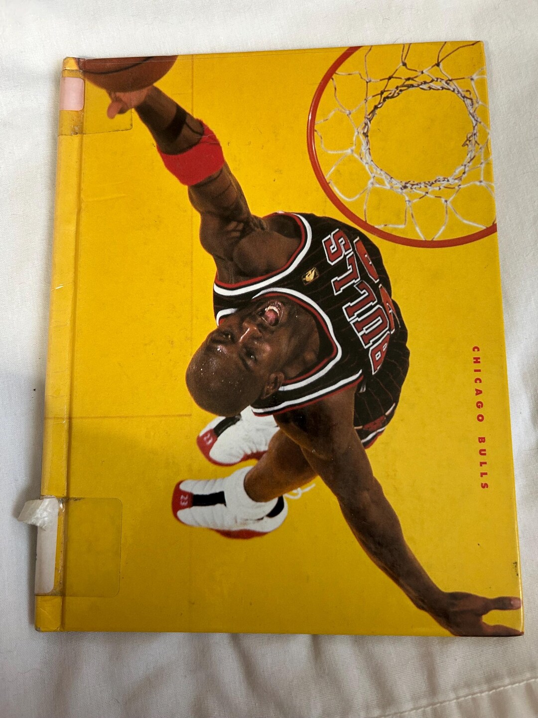 Story of the Chicago Bulls by John Nichols - Etsy