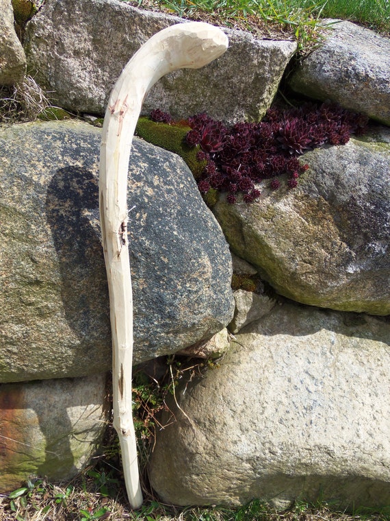 Unfinished Cane | Etsy