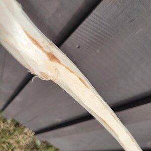 Unfinished Cane - Etsy