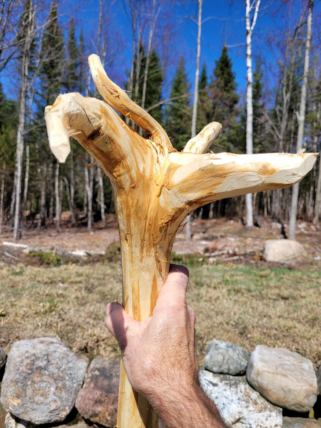 Large Wizard Staff - Etsy