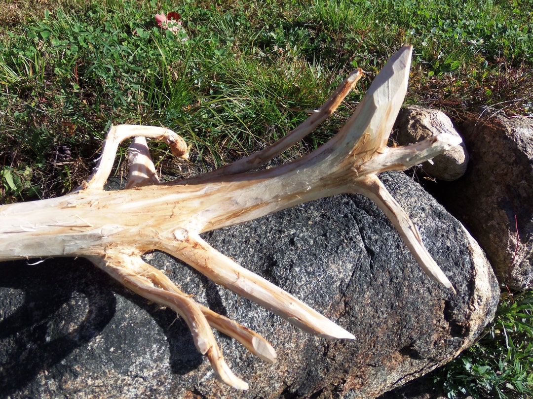 Extra Large Wizard Staff - Etsy