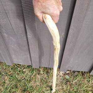 Unfinished Cane - Etsy
