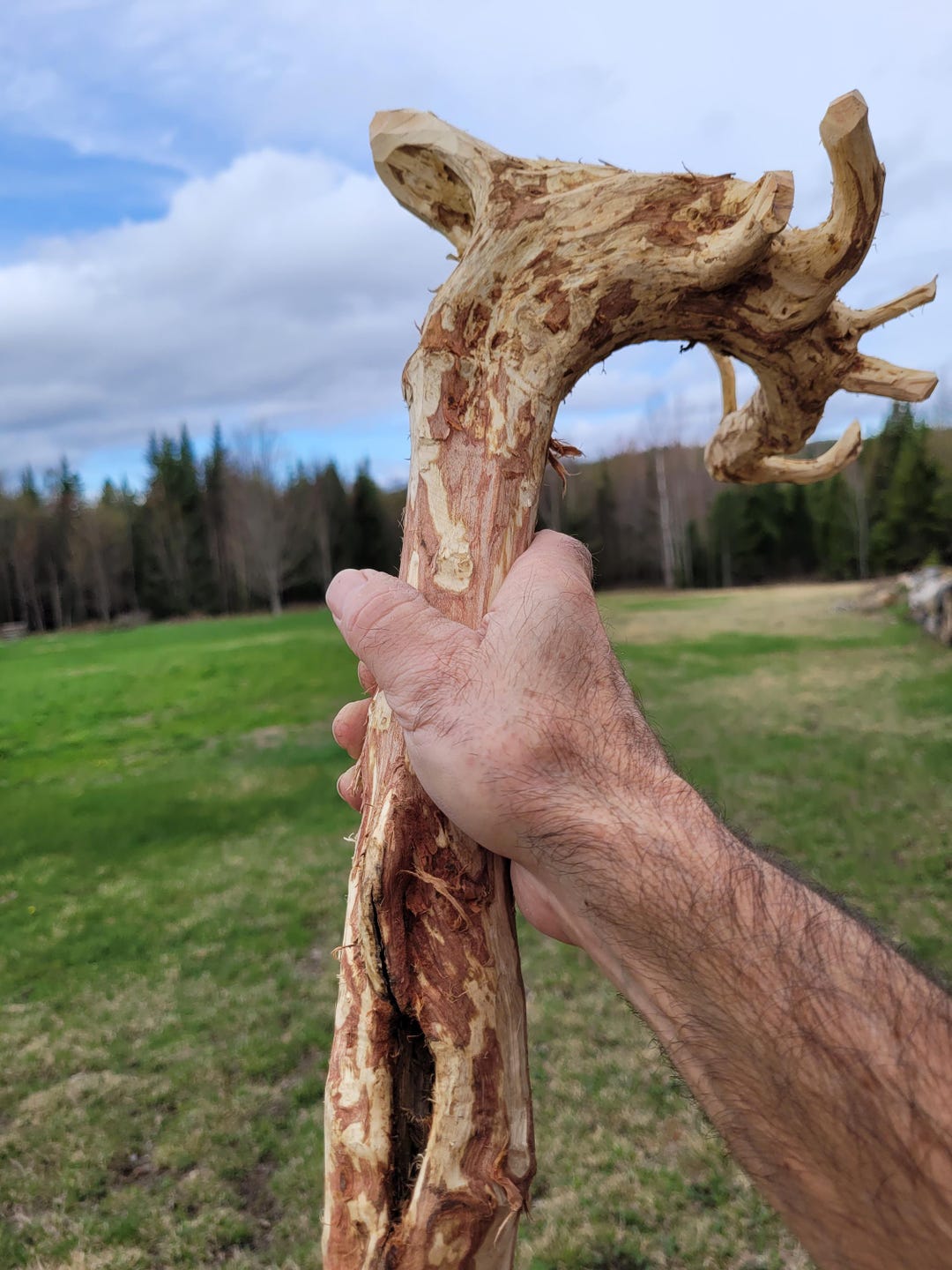 Extra Tall Wizard Staff - Etsy