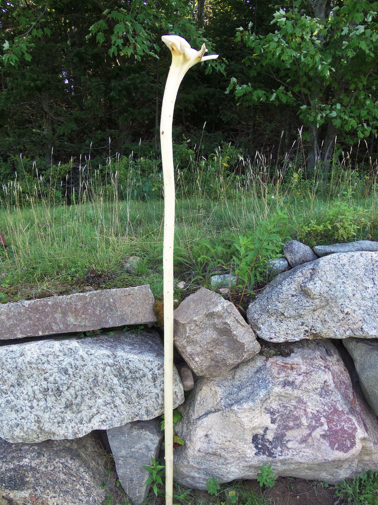 Large Wizard Staff - Etsy