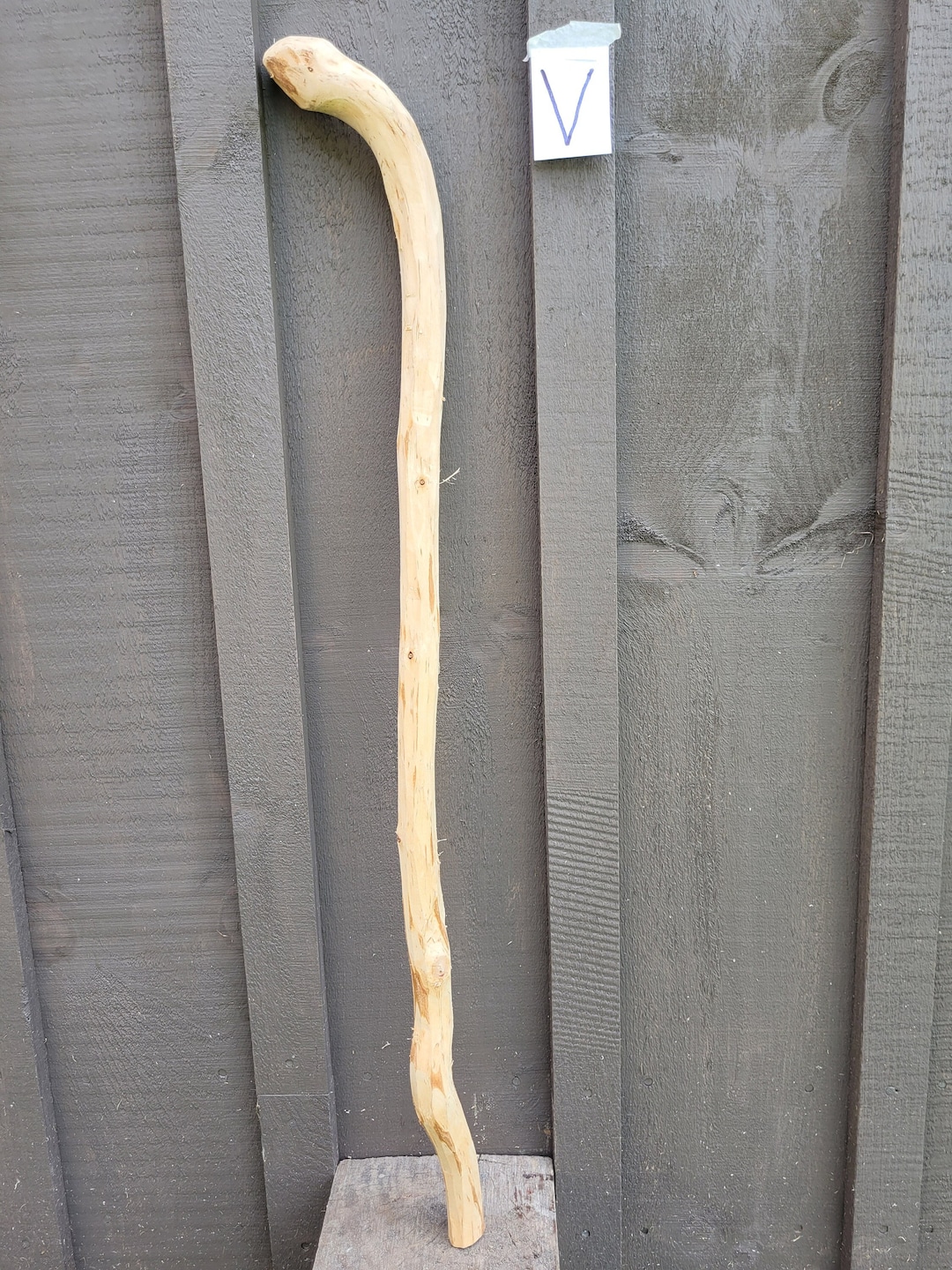 Unfinished Natural Cane Blank - Etsy