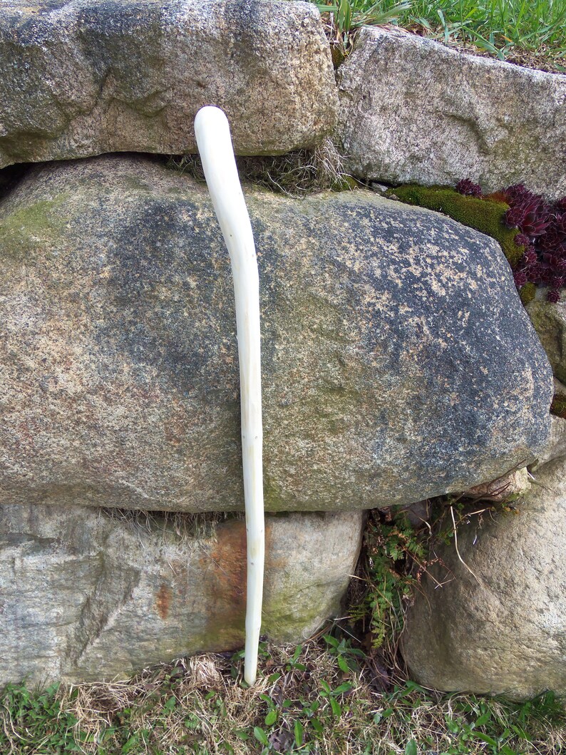 Unfinished Cane - Etsy