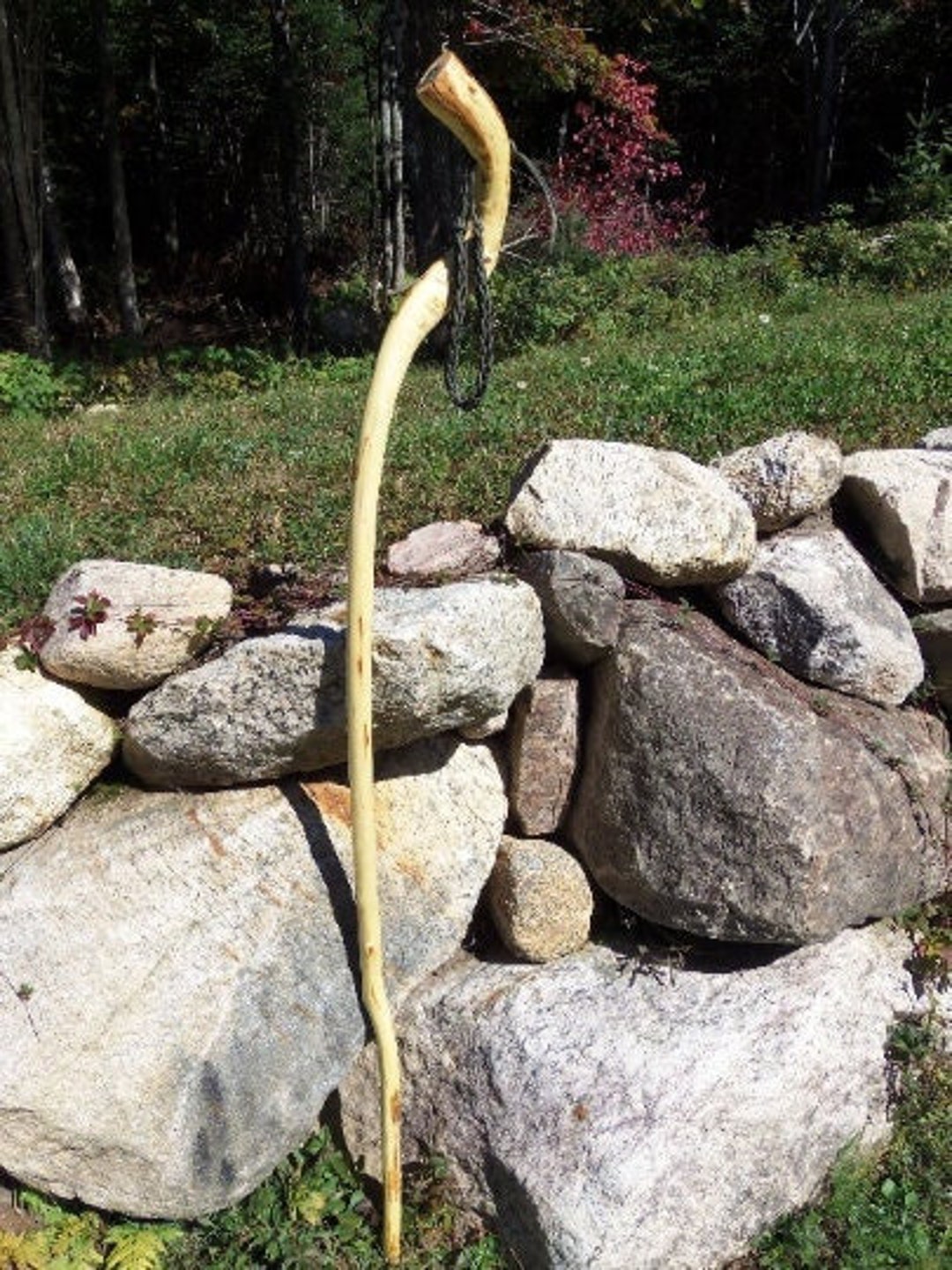 Adirondack Natural Curved Walking Stick - Etsy