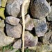 Finished Cane - Etsy