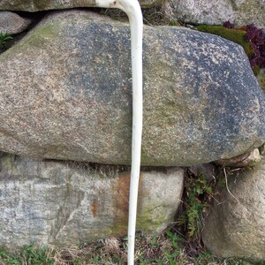 Unfinished Cane - Etsy