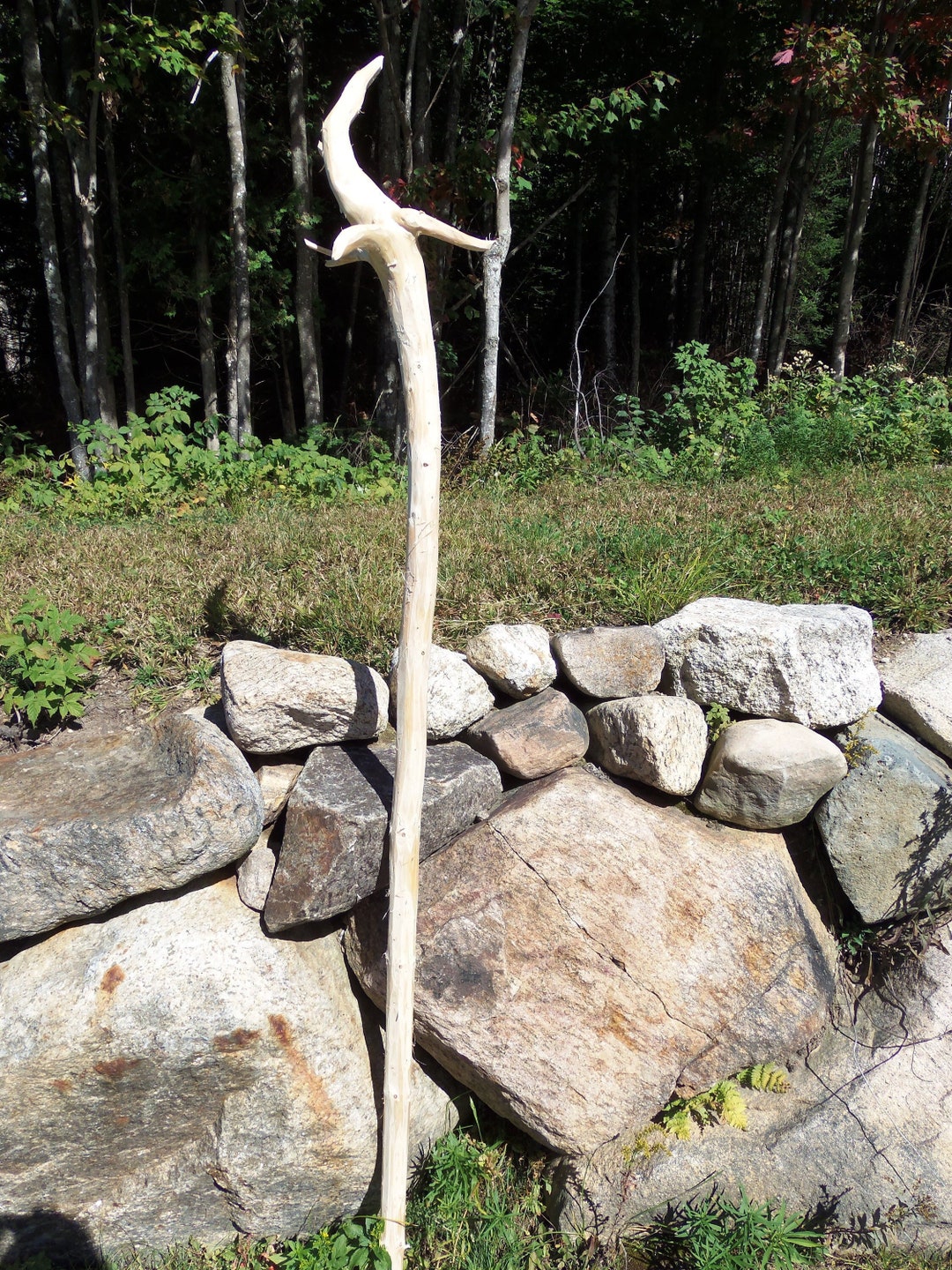 Extra Large Wizard Staff - Etsy