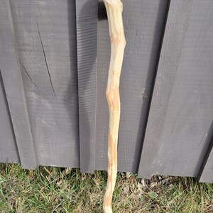 Unfinished Cane - Etsy