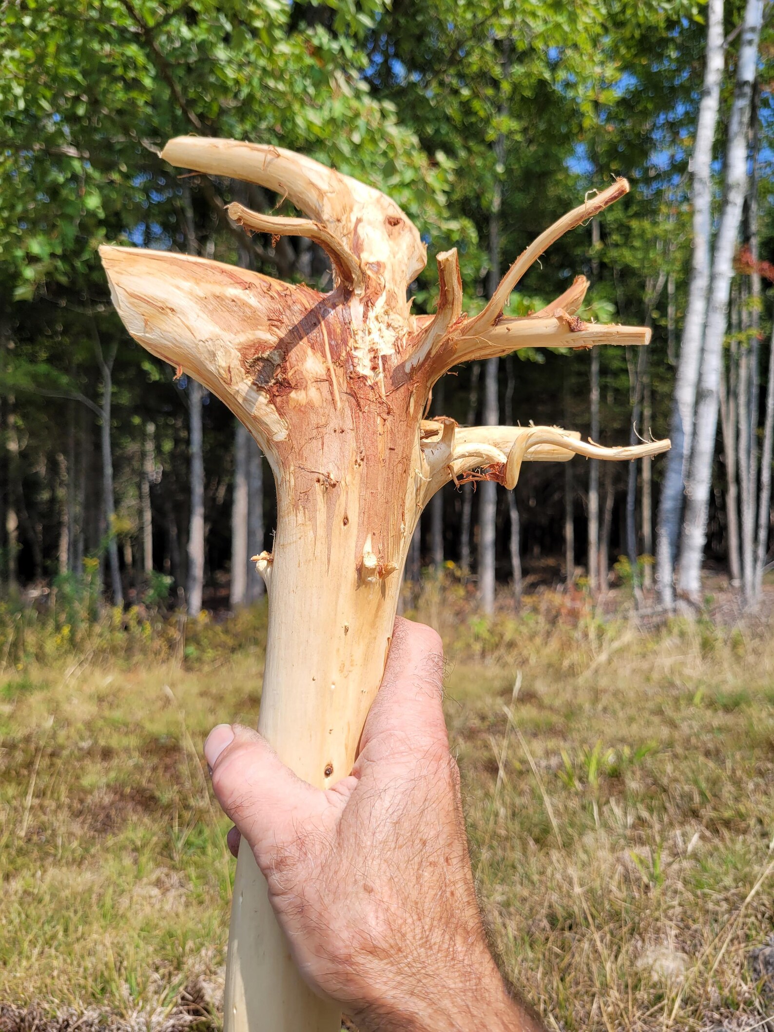Large Wizard Staff - Etsy