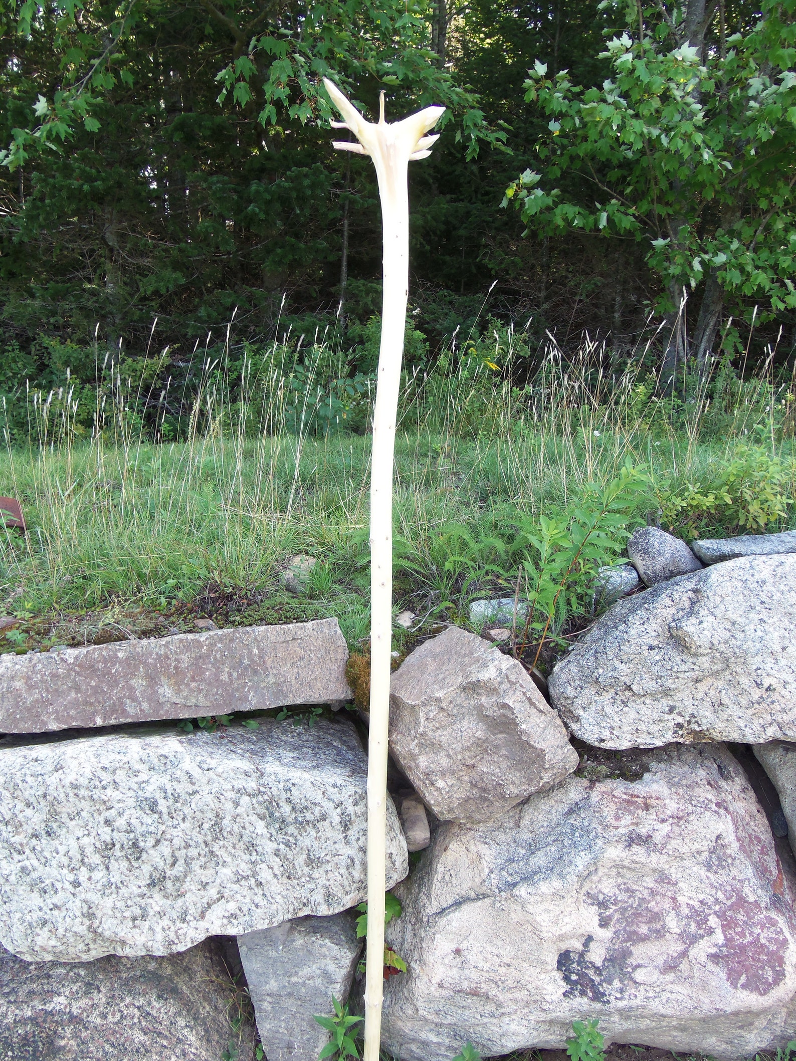 Large Wizard Staff - Etsy