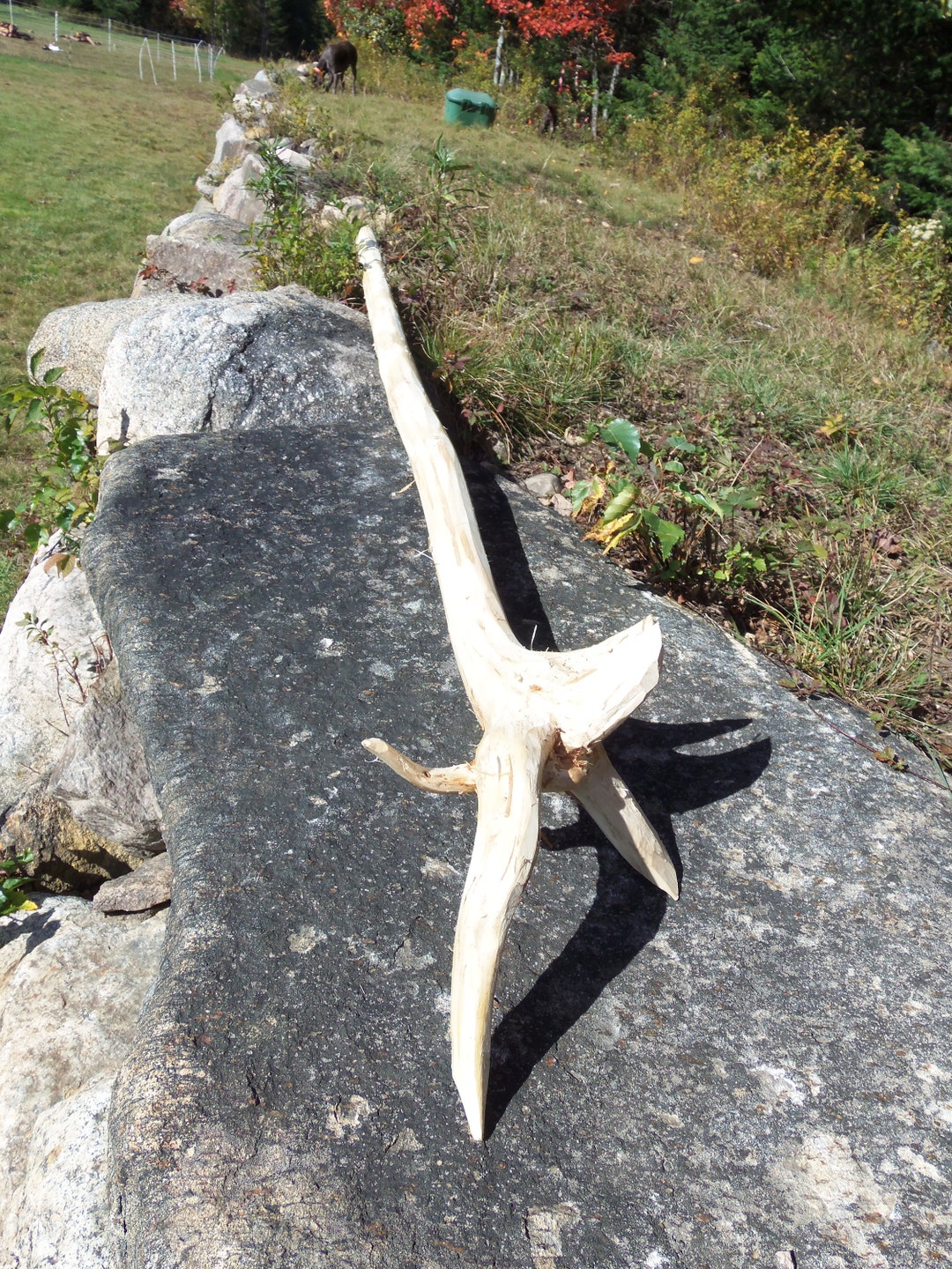 Large Wizard Staff - Etsy