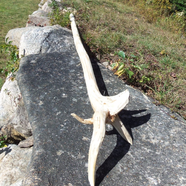 Wood Staff - Etsy