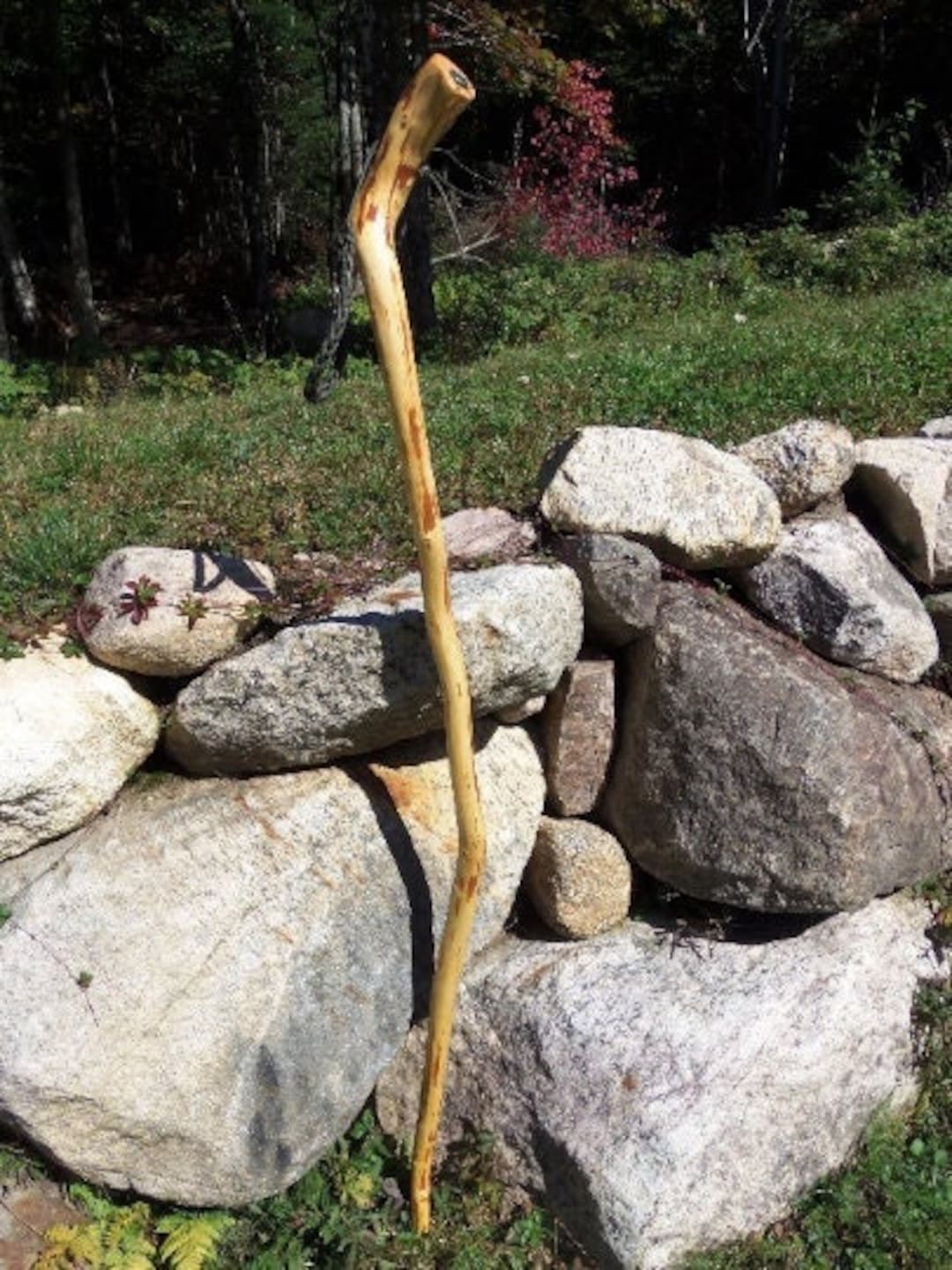 Adirondack Natural Curved Walking Stick - Etsy