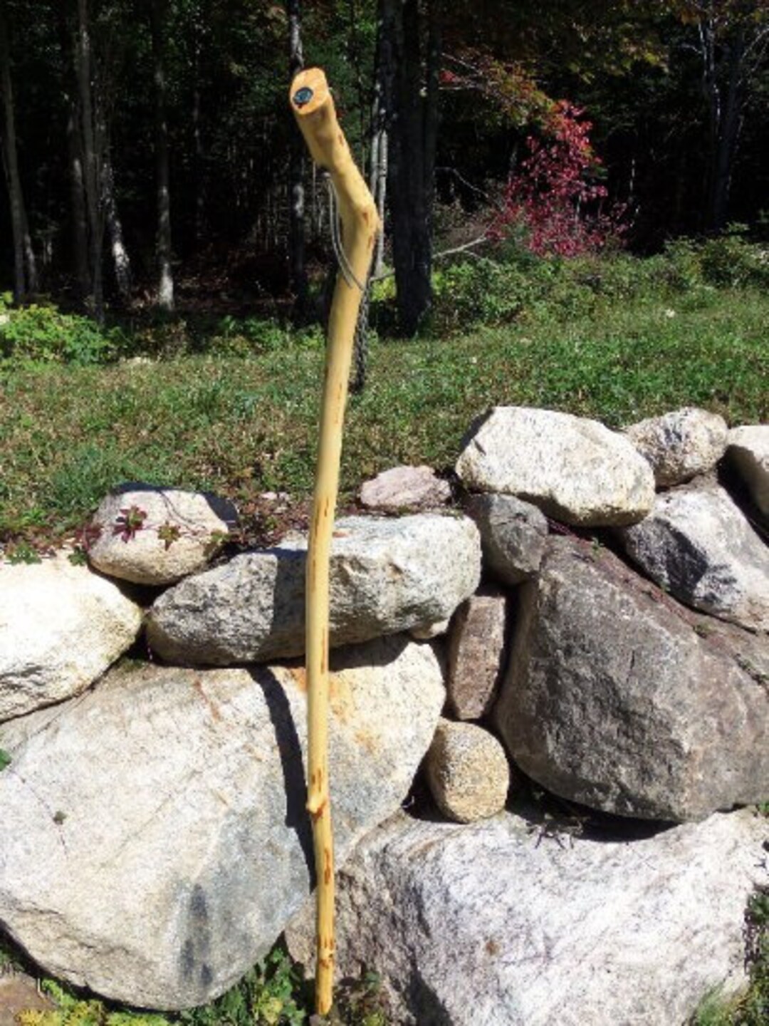 Adirondack Natural Curved Walking Stick - Etsy