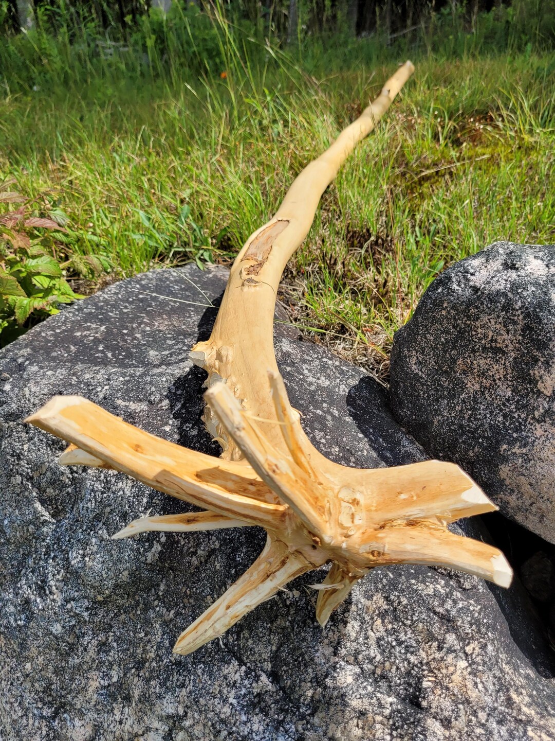 Large Wizard Staff - Etsy