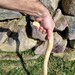 Finished Cane - Etsy