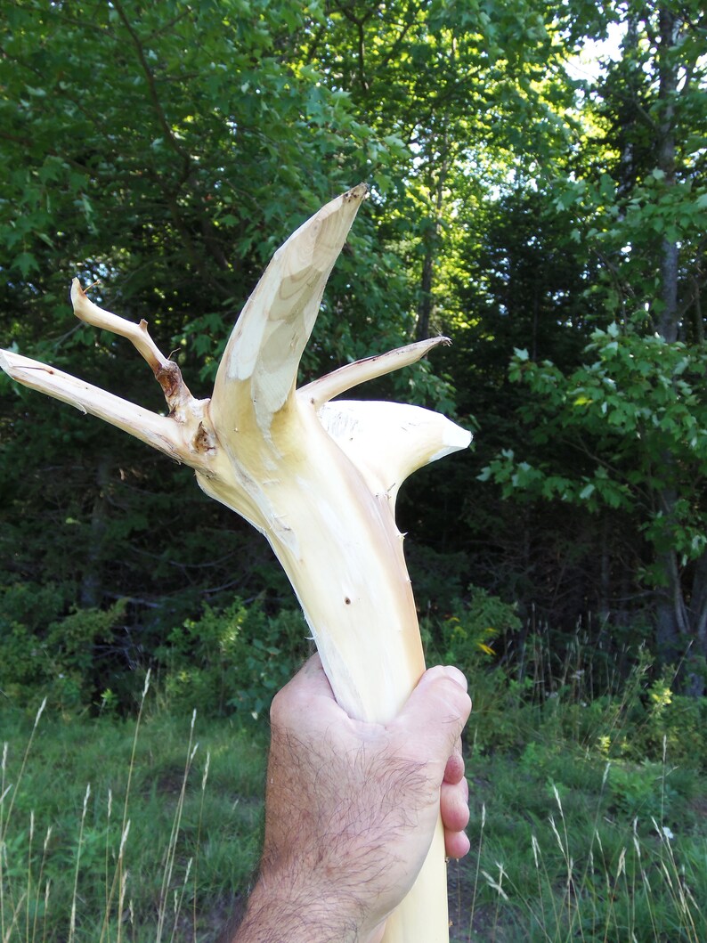 Large Wizard Staff - Etsy