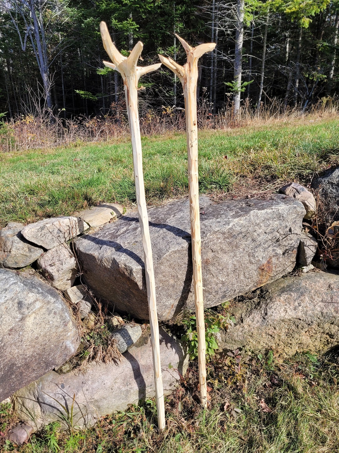 Set of Two Large, Short Wizard Staffs - Etsy