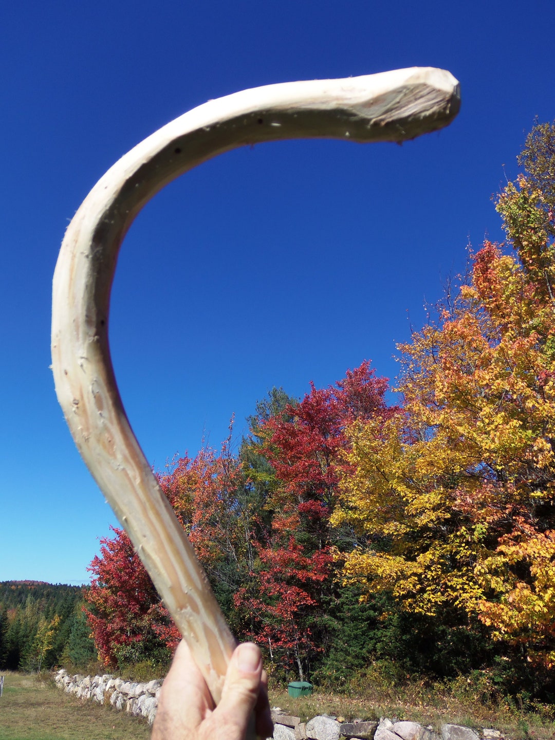 Unfinished Cane - Etsy