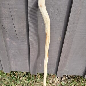 Unfinished Cane - Etsy