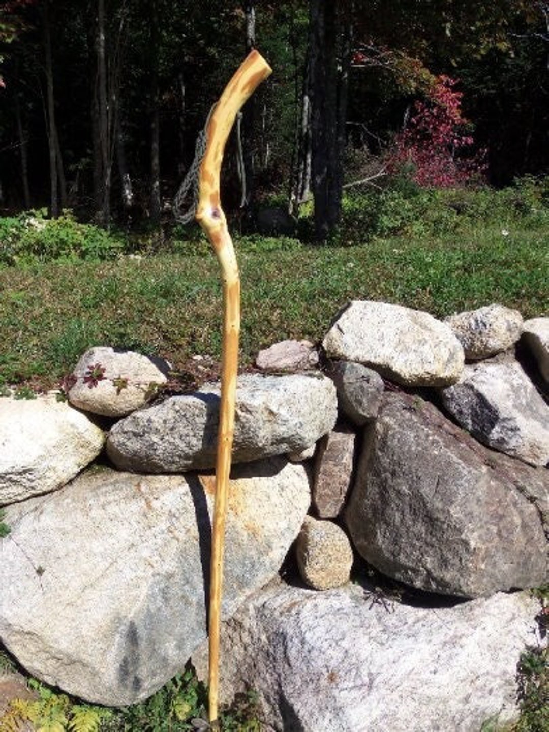 Adirondack Natural Curved Walking Stick - Etsy