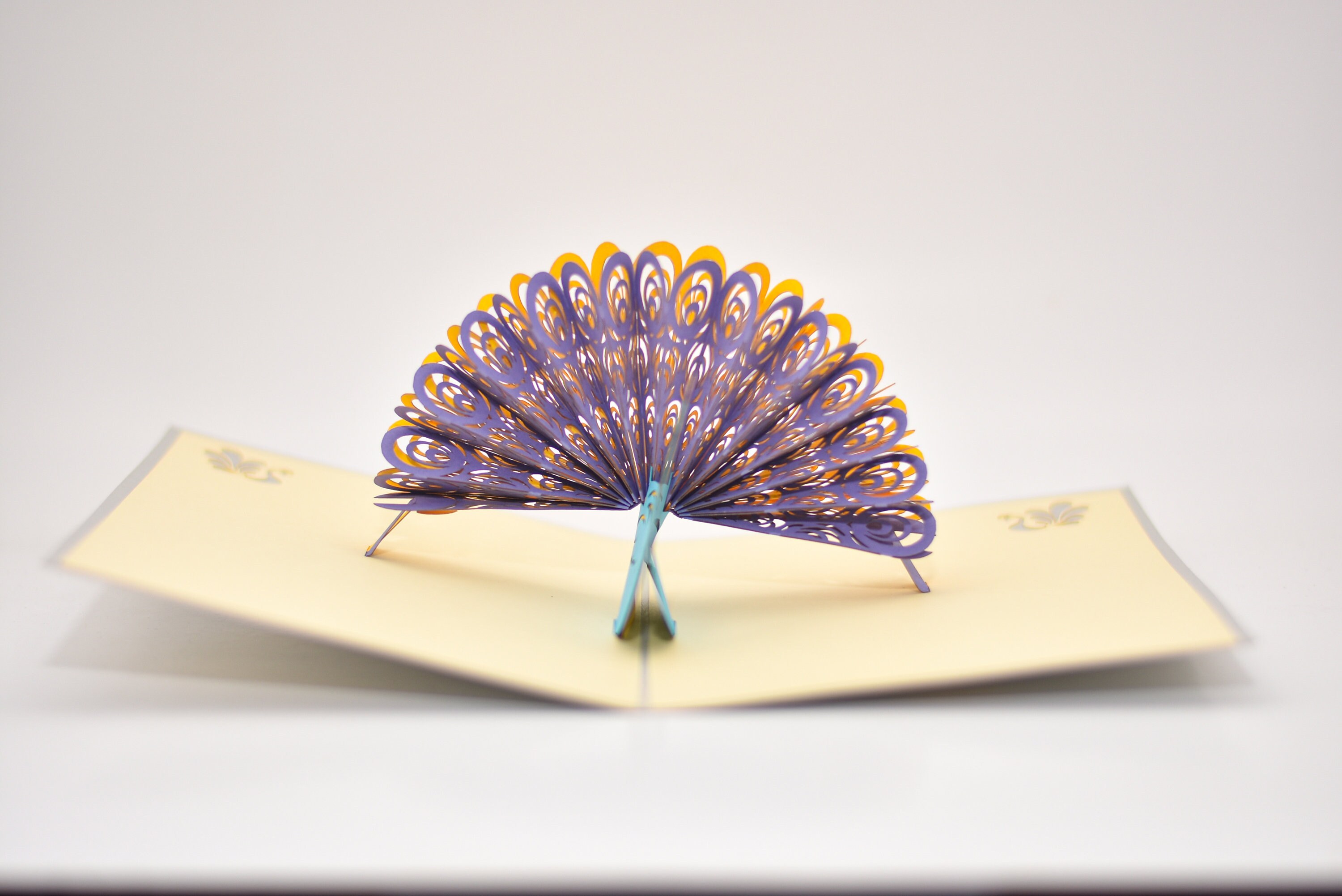 Peacock Pop up Card - Etsy