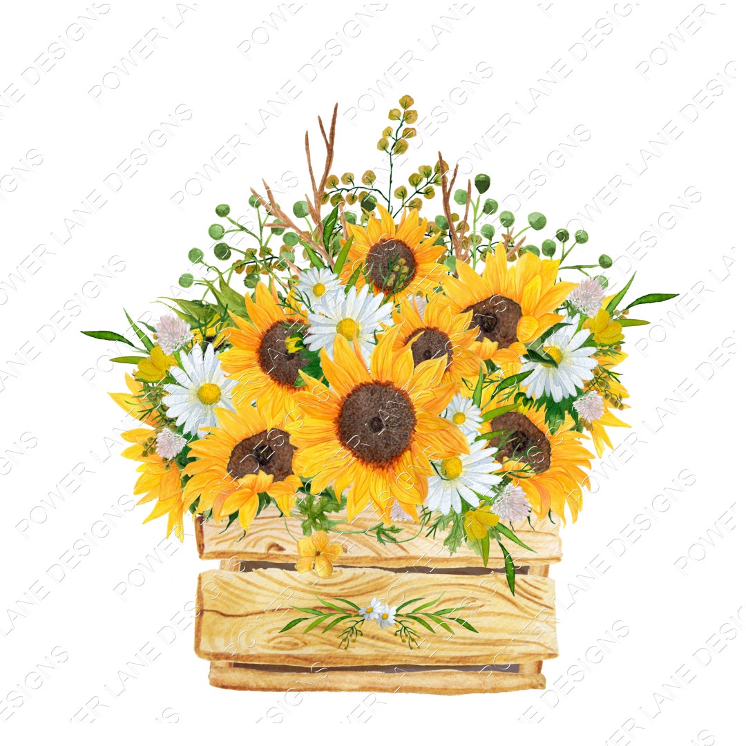 Watercolor – Sunflowers – Daisies - Daisy - Crate - Country - Farmhouse ...