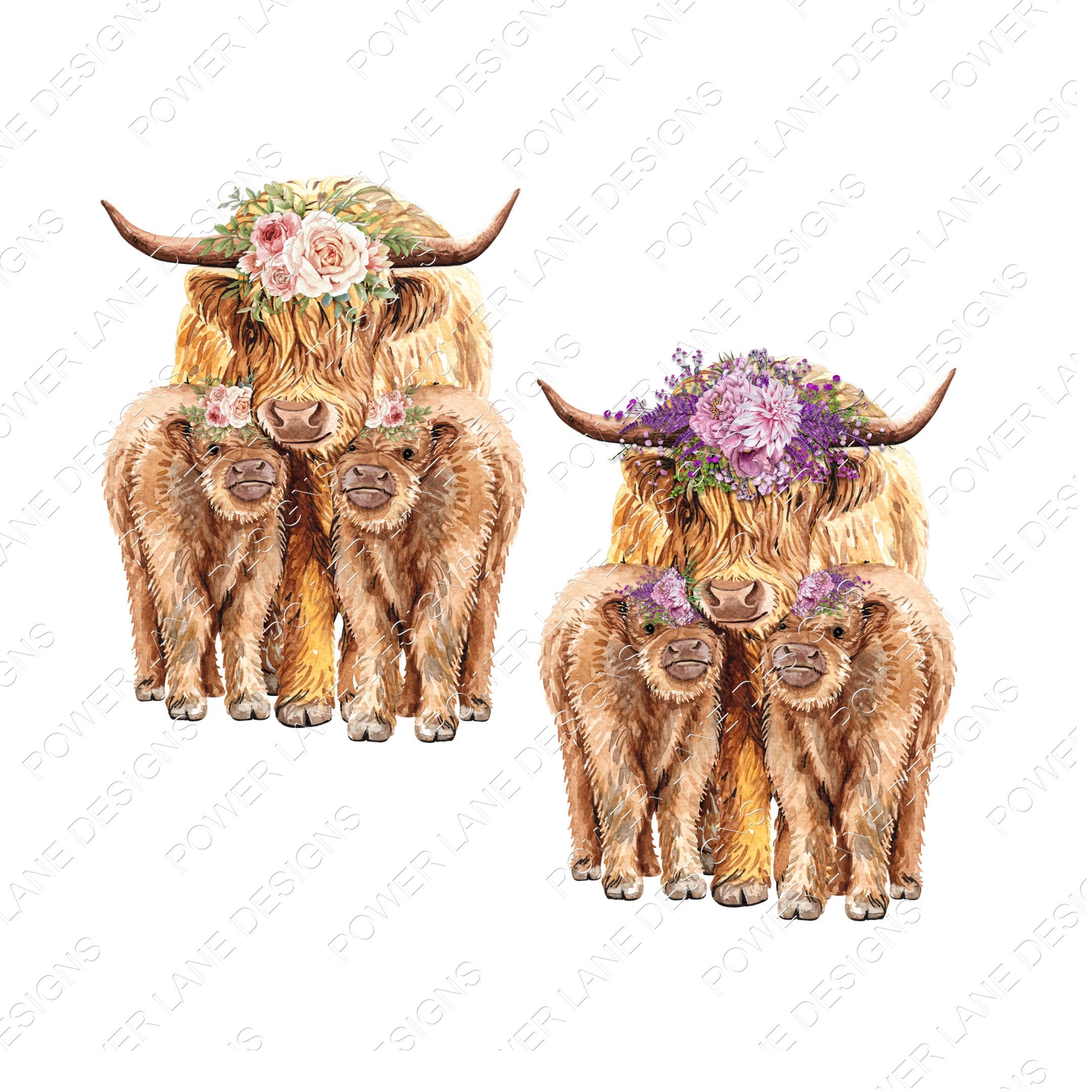 Highland Cow and Calf Twins Farmhouse Purple Pink Flower - Etsy