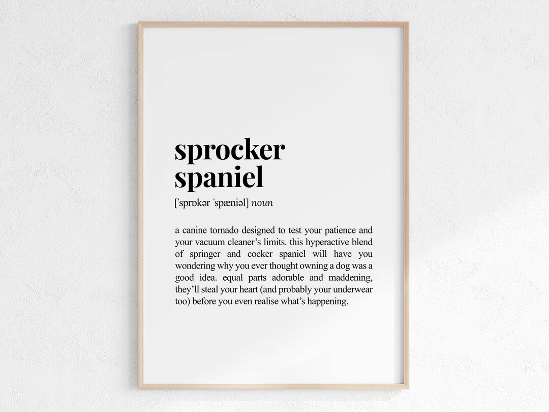 Sprocker Spaniel Definition Print, Sarcastic Dictionary Poster ...