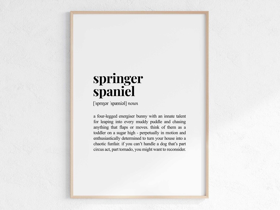 Springer Spaniel Funny Definition Print: Sarcastic Dog Wall Art ...