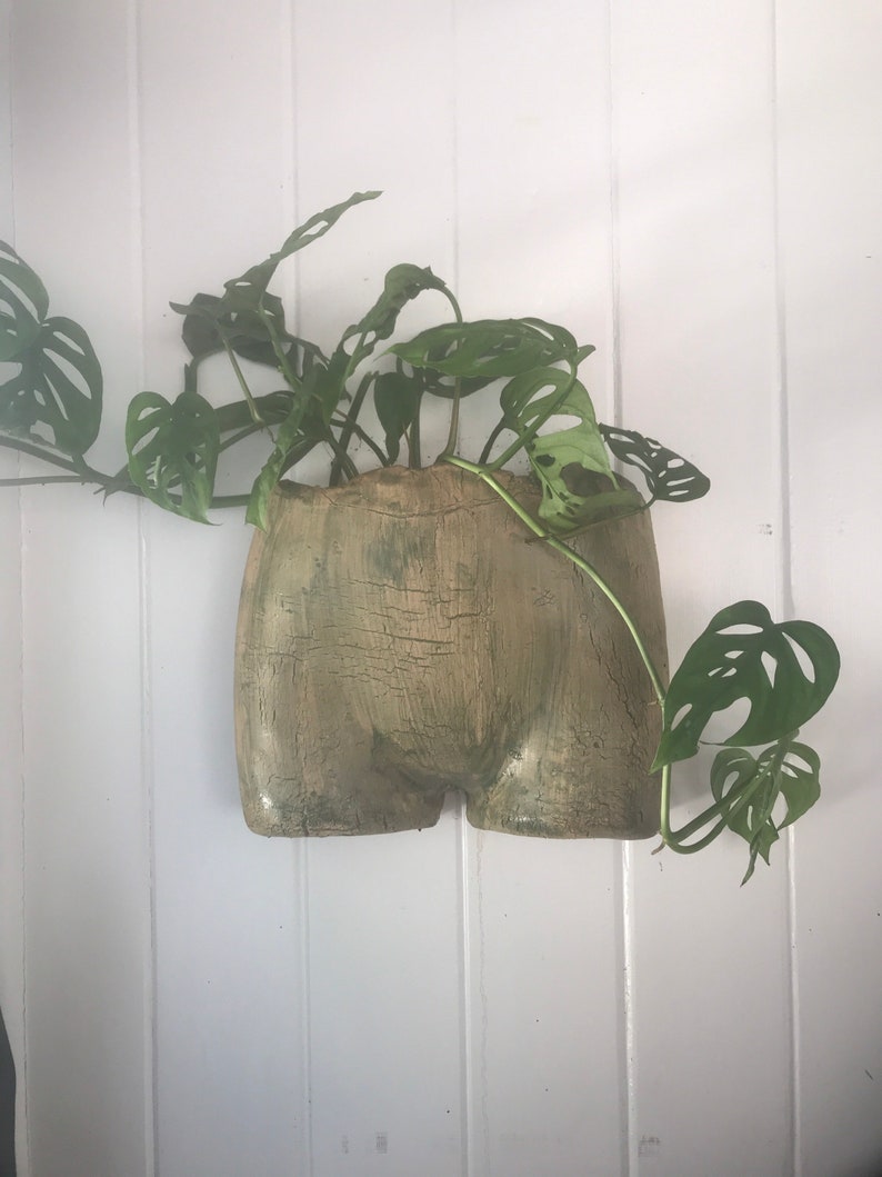 Ceramic Wall Pot Plant - Etsy