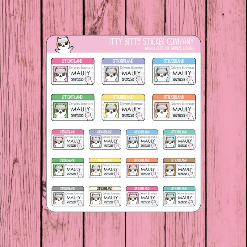 Funny Card Drivers Permit - Etsy