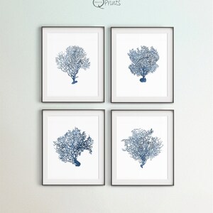 Nautical Prints, Set of 4, Digital Nautical Art, Corals Printable ...