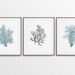 Set of 3 Nautical, Coral Triptych, Set of 3 Prints, Hampton Style ...