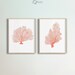 Coral Print, Set of 2 Prints, Printable Corals, Coral Color, DIY Large ...