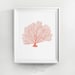 Coral Print, Set of 2 Prints, Printable Corals, Coral Color, DIY Large ...
