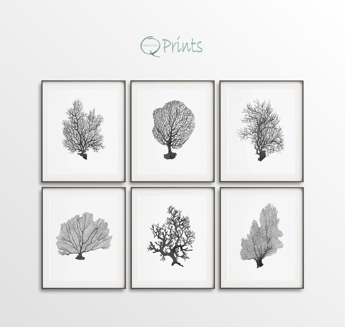 Coral Prints Set of 6 Sea Corals Black and White Printable | Etsy