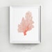 Coral Print, Set of 2 Prints, Printable Corals, Coral Color, DIY Large ...