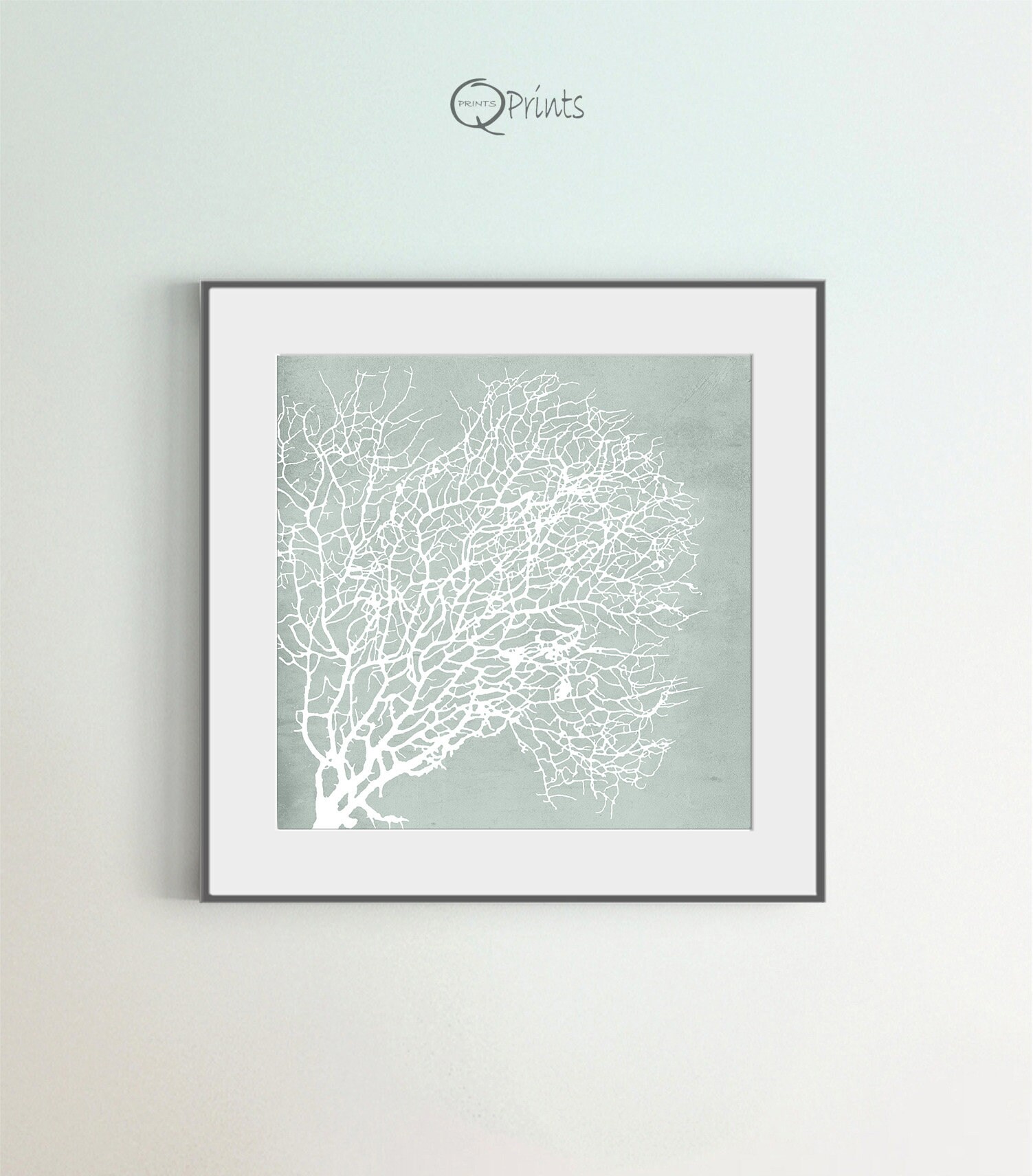 Coral Art Print Set of 6 Printables White Coral Prints - Etsy