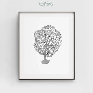 Nautical Prints, Set of 4 Corals, Digital Nautical Art, Sealife Wall ...